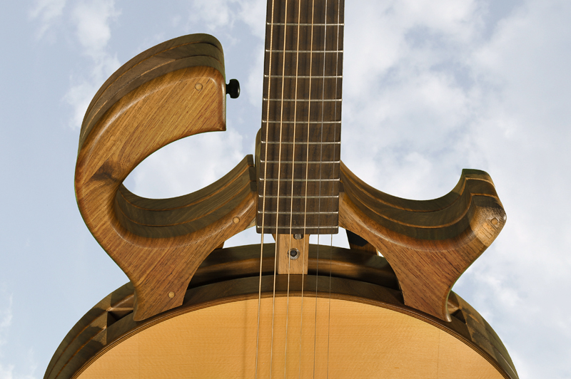 Prince Acoustic – The Vitale Guitar Collection