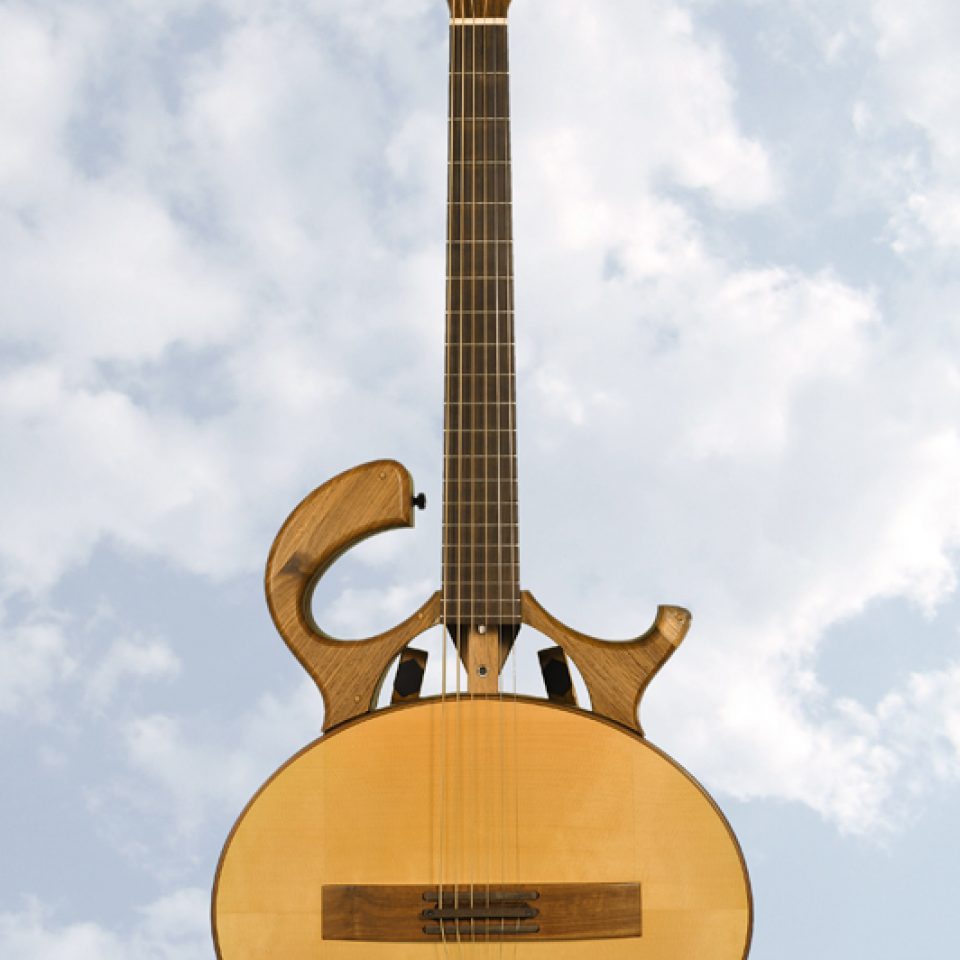 Prince Acoustic – The Vitale Guitar Collection