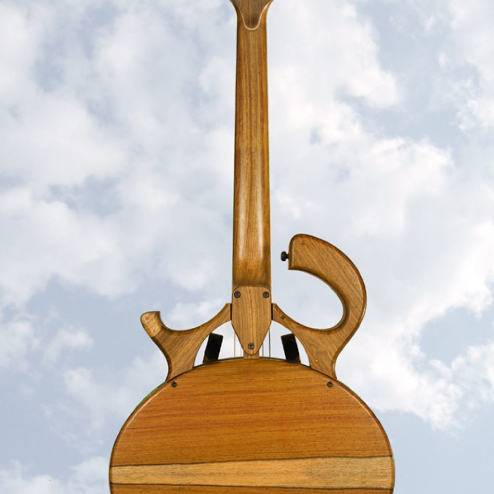 Prince Acoustic – The Vitale Guitar Collection